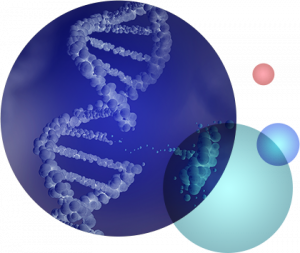 Quality Assurance – Nitto Avecia